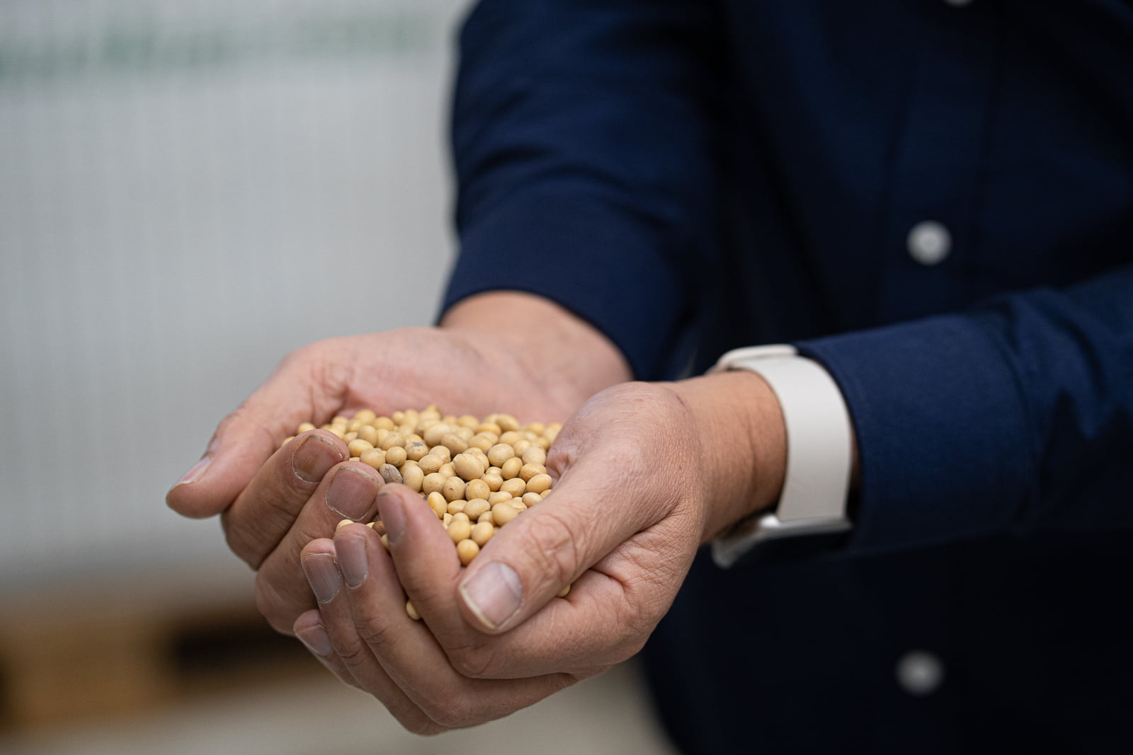 Mitä tofu on? - Jalotofu